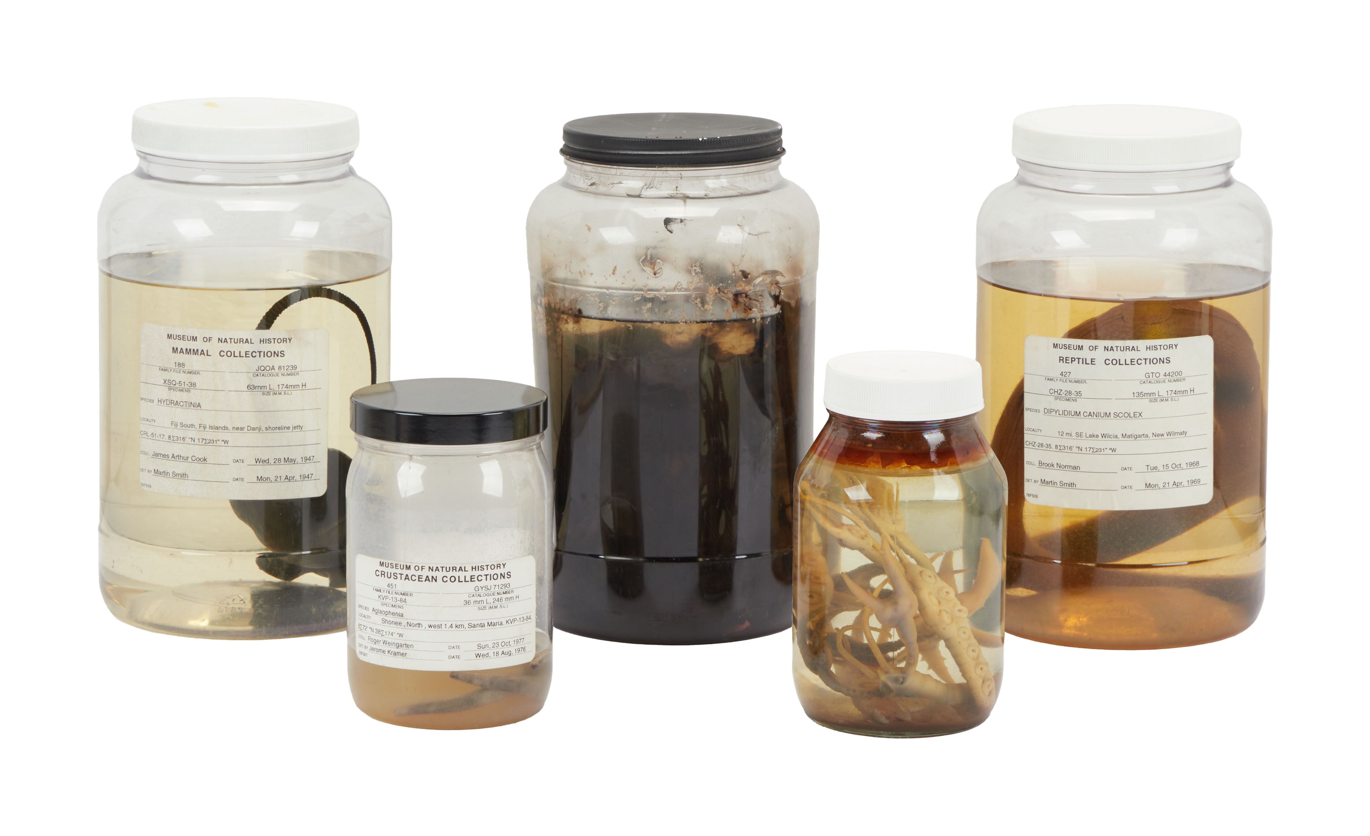 CSI: Crime Scene Investigation | Gil Grissom (William Petersen) Office ...