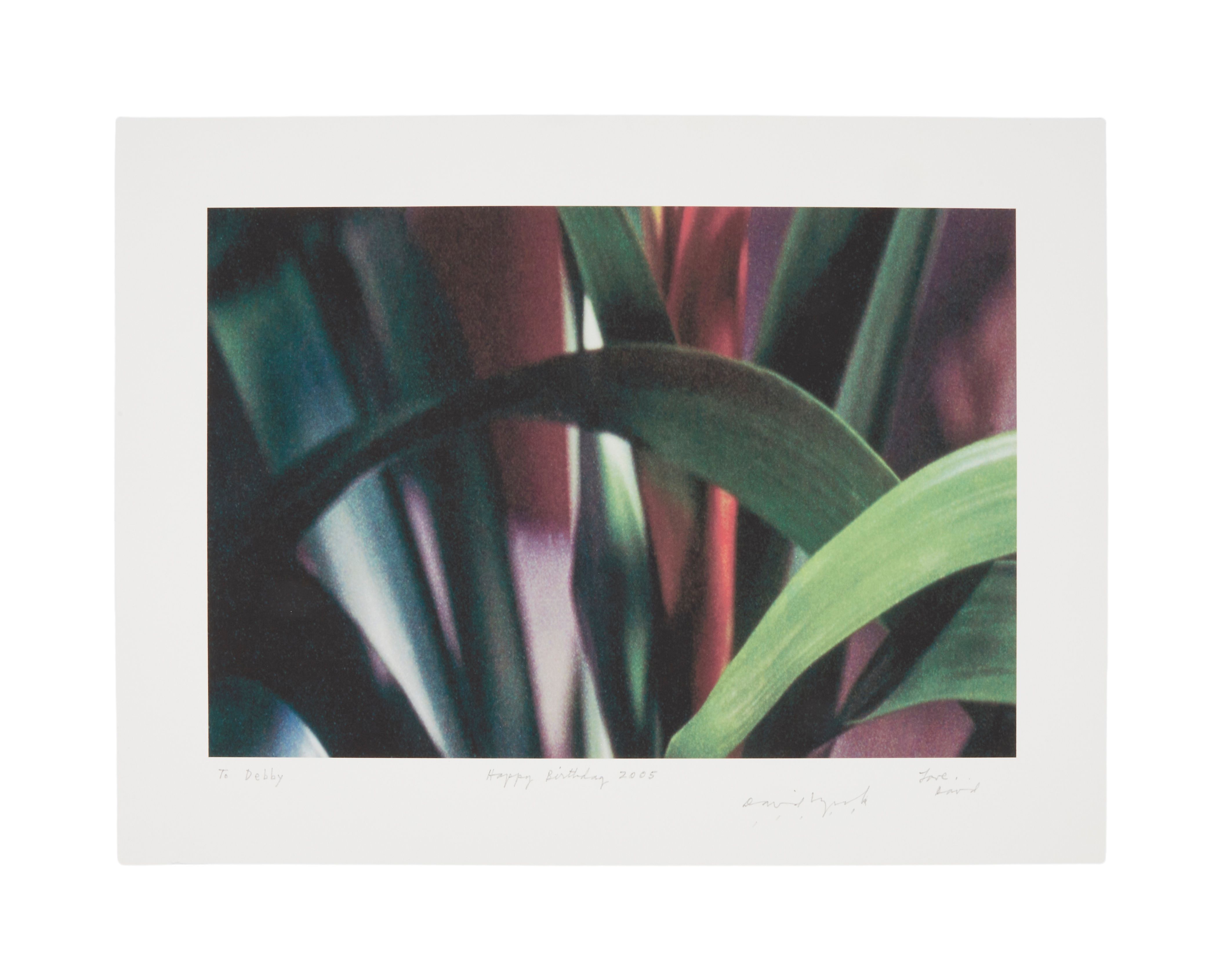 David Lynch | Signed 2005 Art Print