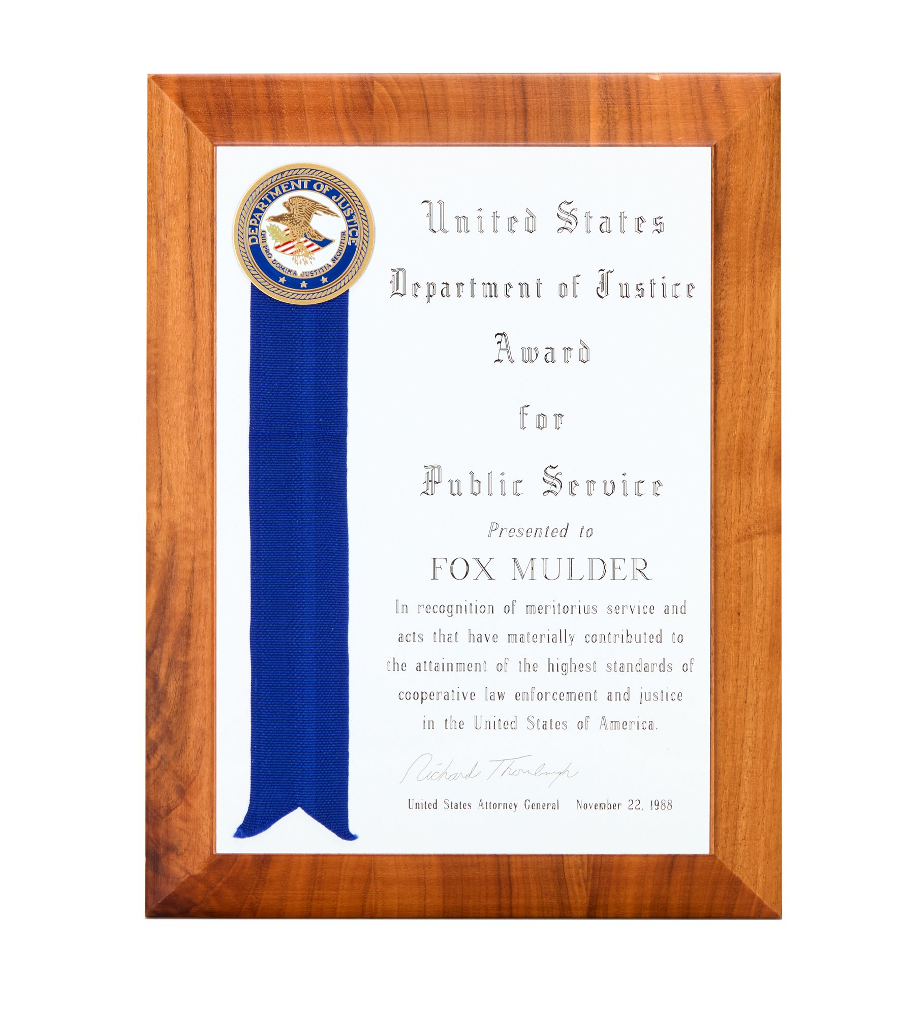 The X-Files | Agent Fox Mulder (David Duchovny) Public Service Award ...