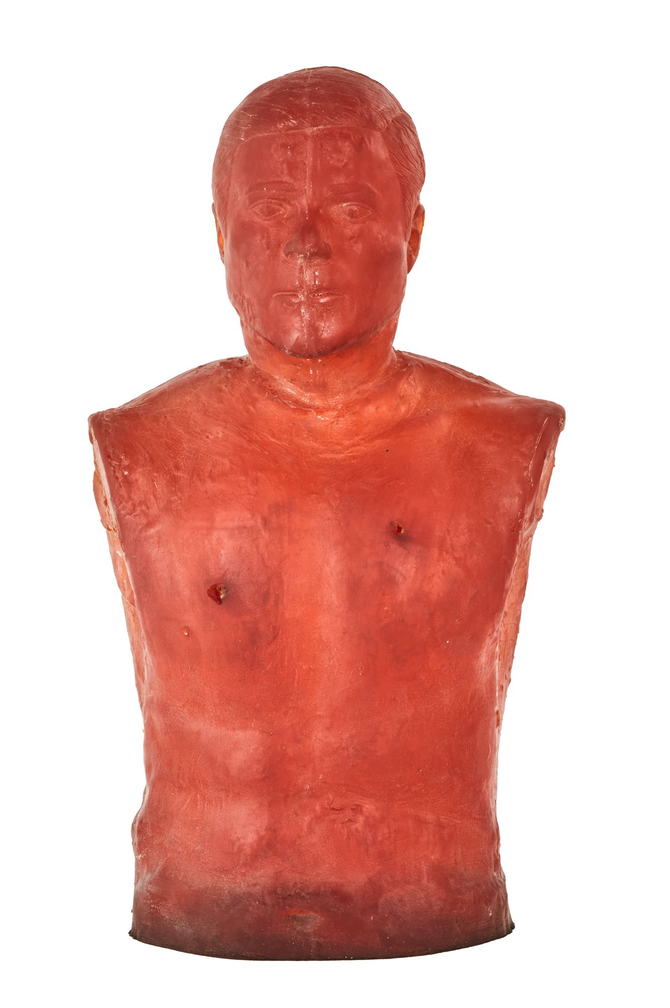 Dexter | Forensics Rubber Torso