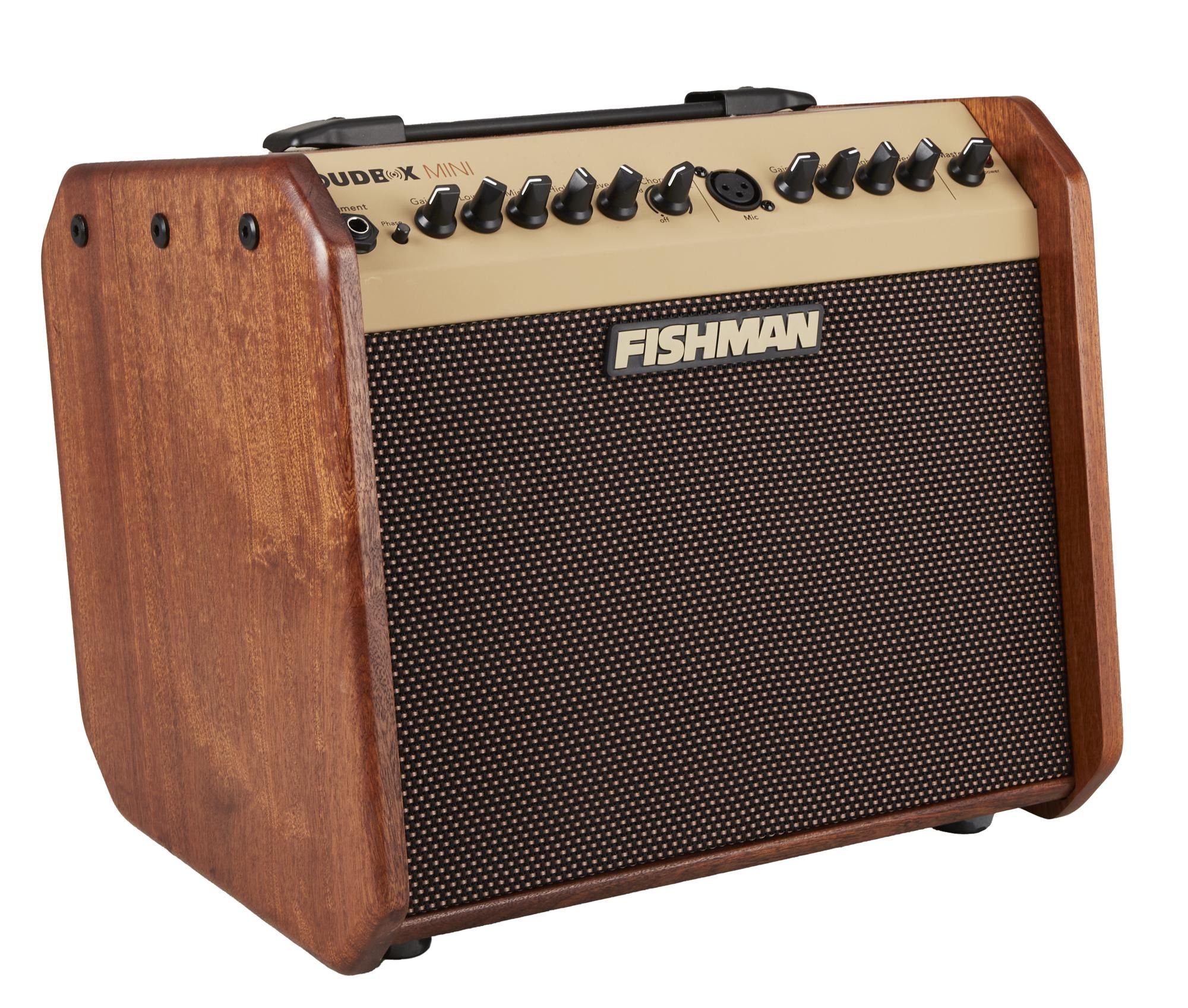 Joe Walsh | Fishman Loudbox Mini Acoustic Guitar Amplifier