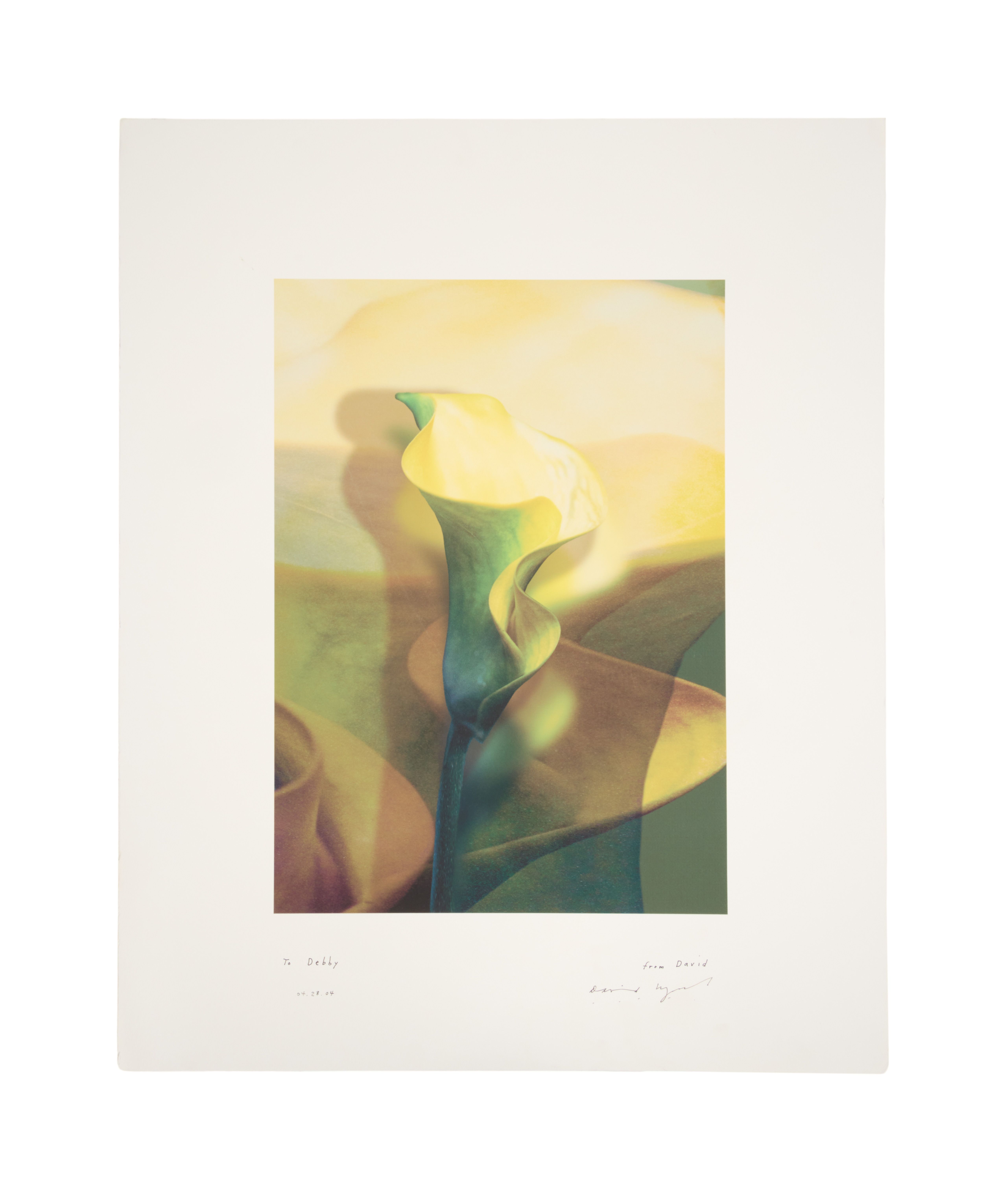 David Lynch | Signed 2004 Art Print