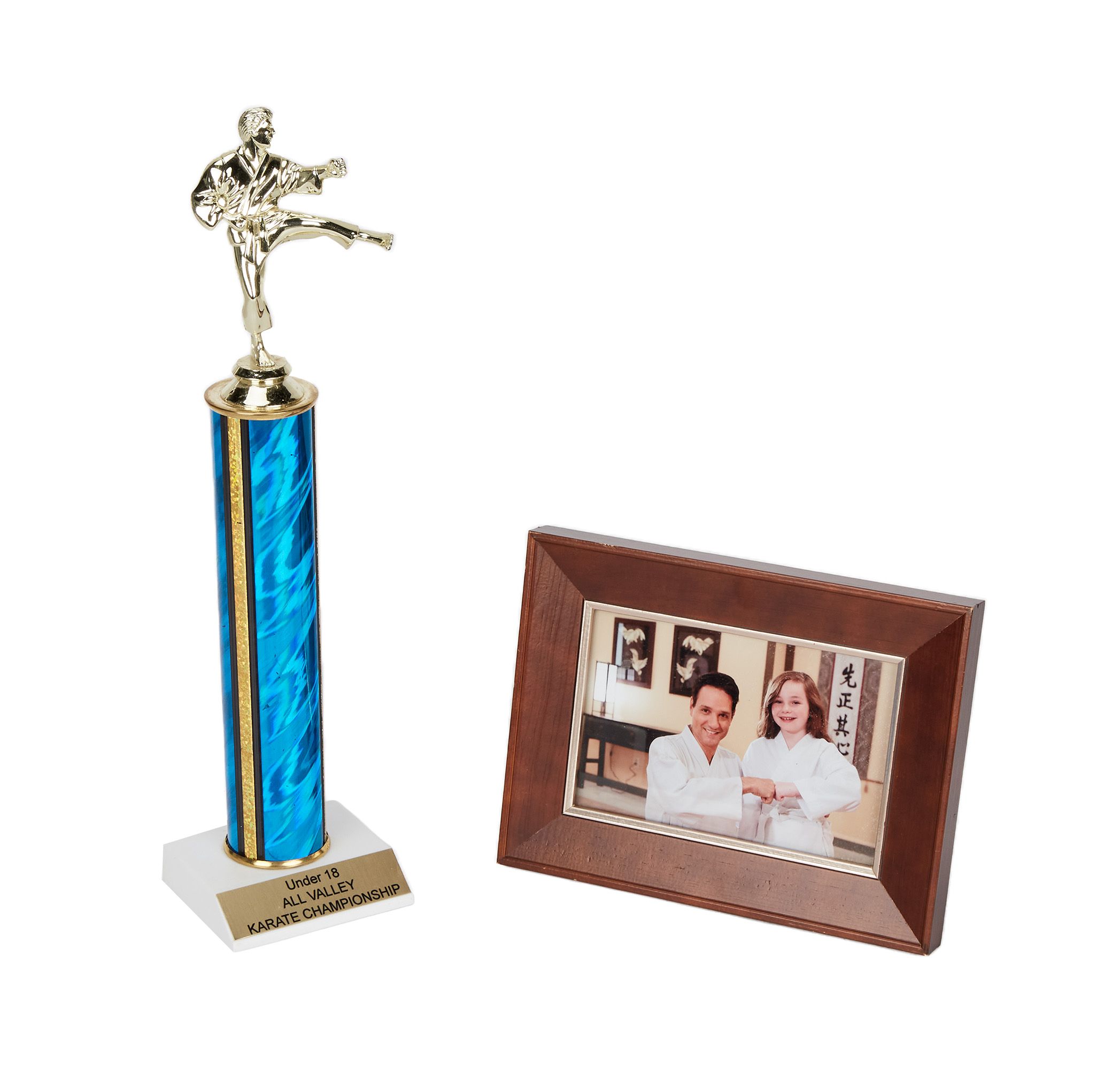 Cobra Kai | All Valley Karate Championship Trophy Prop with Daniel ...